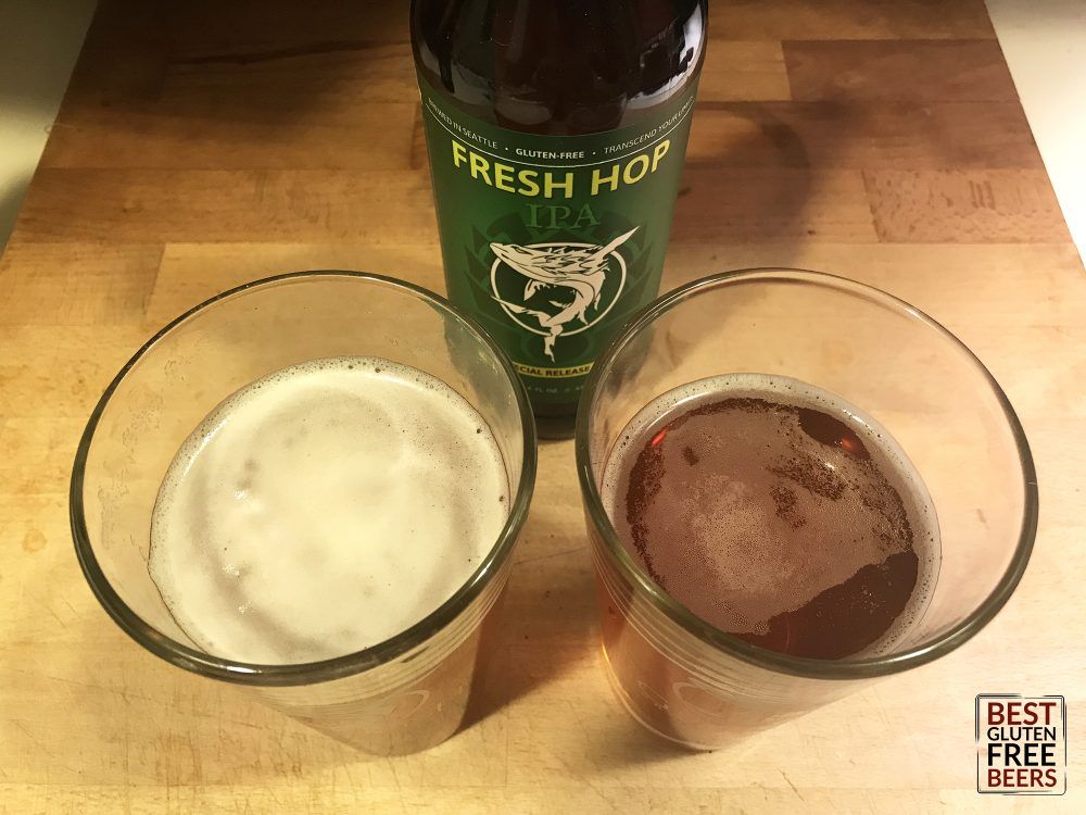 Battle of the 2018 Ghostfish Fresh Hop IPAs - Best Gluten Free Beers