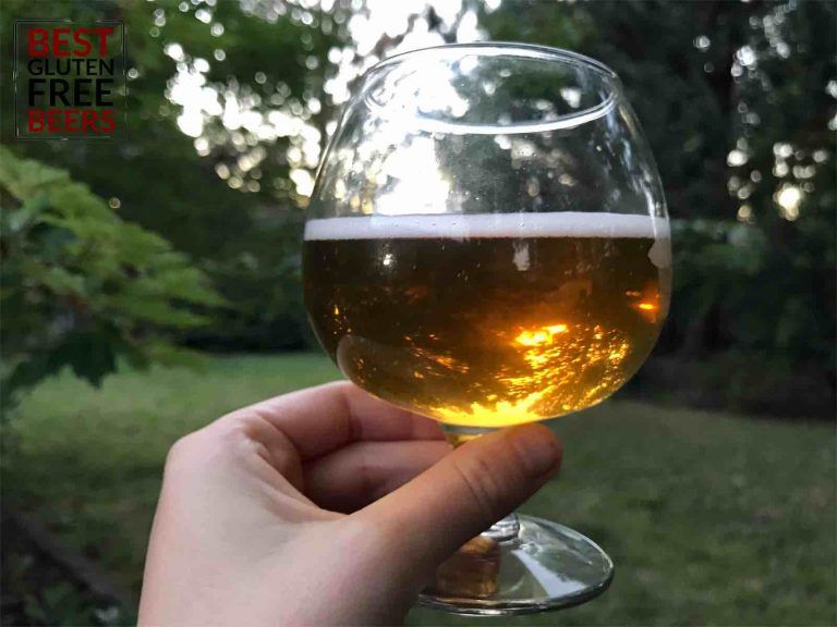 Daura Damm Lager (Gluten Reduced) - Best Gluten Free Beers