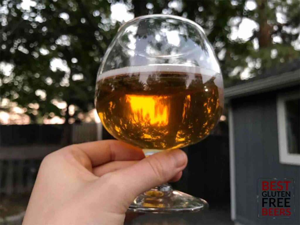 Daura Damm Lager (Gluten Reduced) - Best Gluten Free Beers