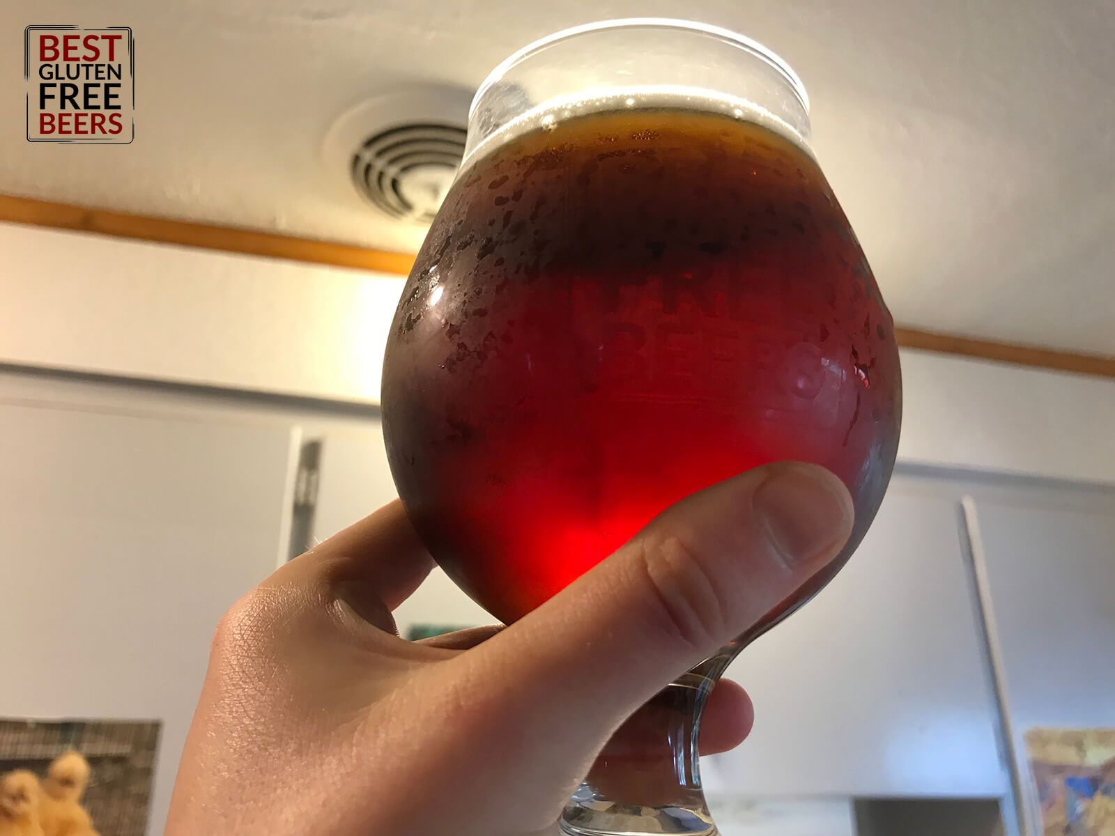 Burning Brothers Auntie M's Irish Red Ale - Best Gluten Free Beers
