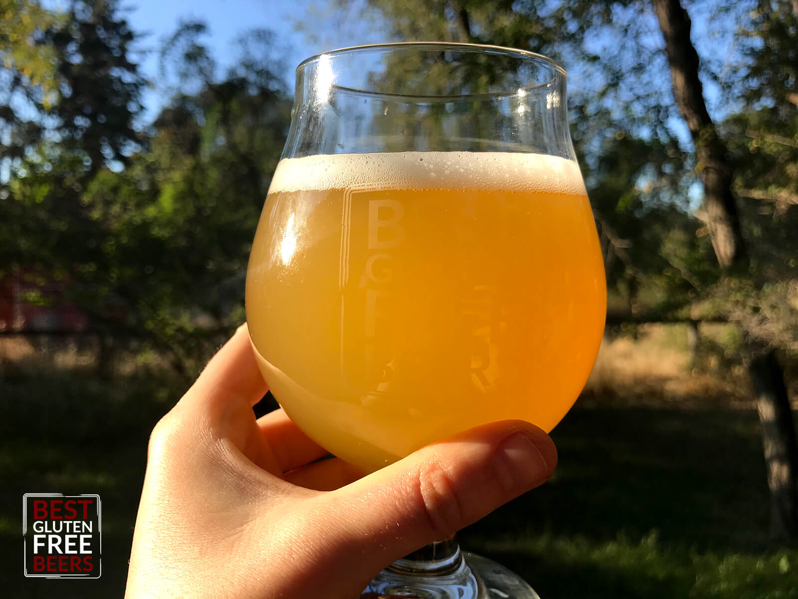Moonshrimp Brewing Blood Orange Hazy IPA - Best Gluten Free Beers