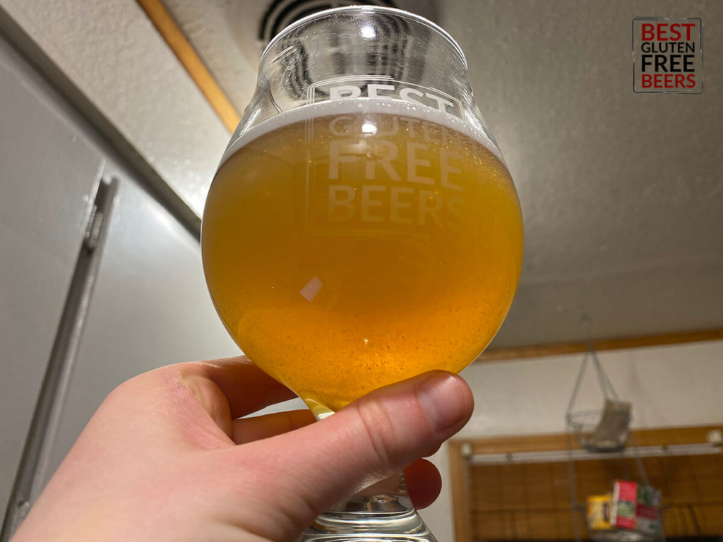 Buck Wild Brewing West Coast IPA - Best Gluten Free Beers